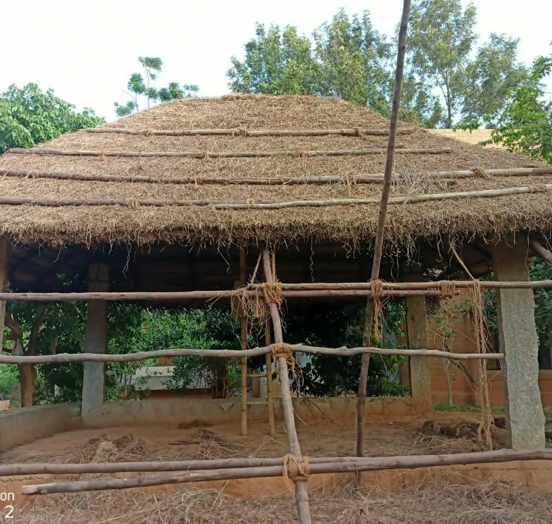 Thatch roof construction | Bhoomi Network